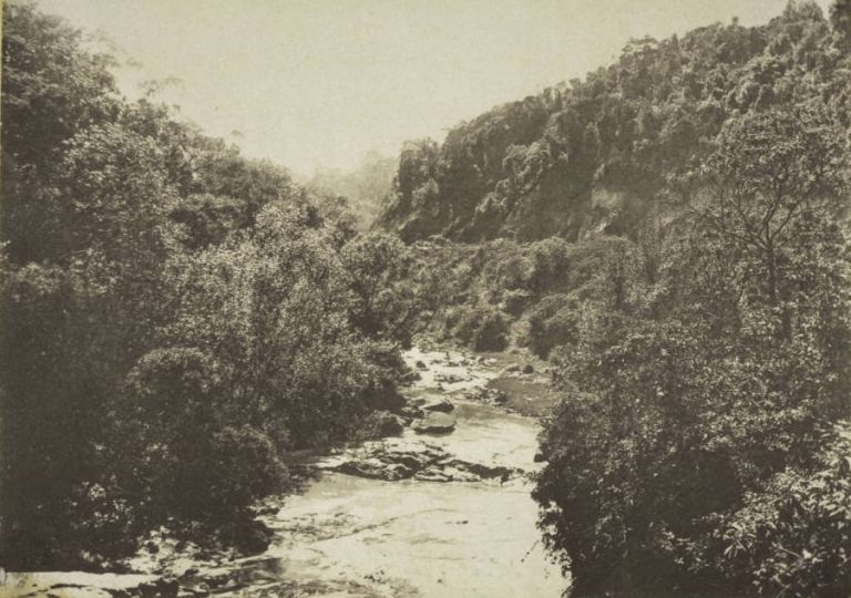 The History of Coonoor – Clean Coonoor