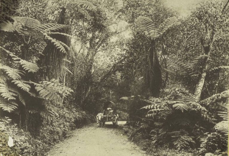 The History of Coonoor – Clean Coonoor